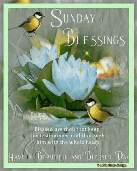 Showers Of Blessings  At Sienna Schaw Blog