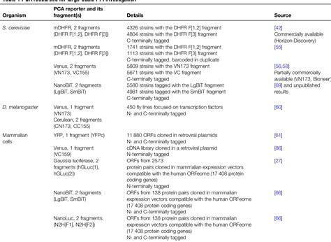Figure 1 From Protein Fragment Complementation Assays For Large Scale