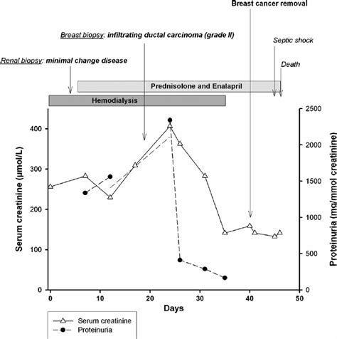Time Course Evolution Of Renal Functional Parameters Serum Creatinine