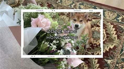 🇭🇰홍콩vlog 한홍커플의 먹고 먹고 또먹는 데이트 일상 스탠리 나들이 먹방 유튜버 맛챠 플라워 클래스 온라인으로 장보기 Youtube