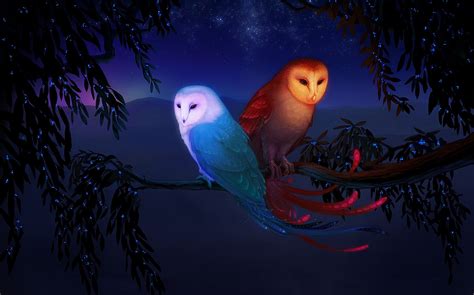 The Sun And The Moon Fantasy Moon Sun Night Owl Digital Art