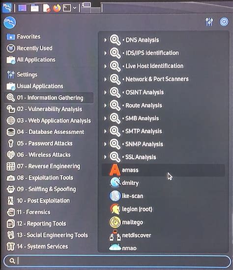 Amass Kali Linux覚え書き