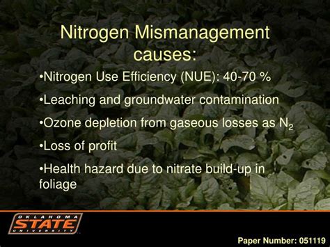 Ppt Variable Rate Nitrogen Application On Row Crop Spinach Powerpoint Presentation Id 3055293