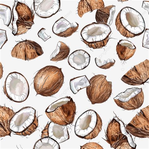 Broken Coconut And Coconut Shell Pattern Drawing Sketch Coco