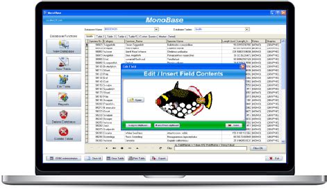 Database Software That S Simple To Use SSuite Office Software Free Database Editor Creator