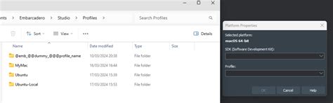 delphi 12 1 post installation configuration stack overflow