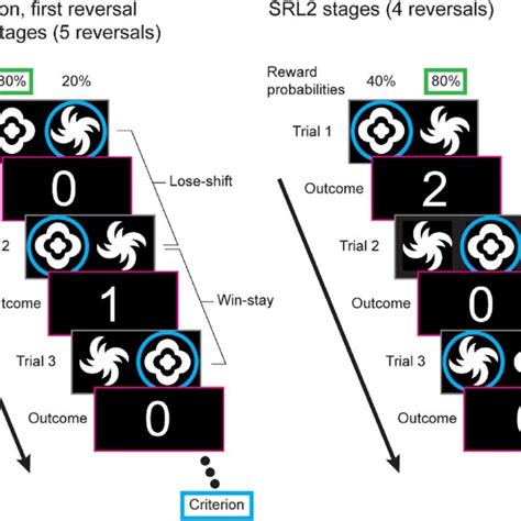 Serial Reversal Learning Task For Each Trial Participants Are