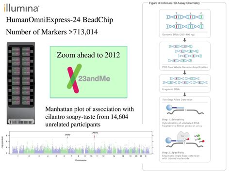 Use Of Snp Dna Analysis In Authenticating Basmati Rice Ppt Download