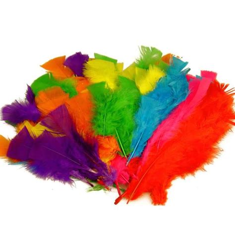 Feathers Large 30gm Approx 140 Per Bag Assorted Science First