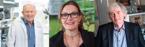 rna canada arn 2024 canada gairdner awardees rna canada arn