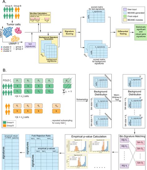 Introducing Beanie A New Method For Scrna Seq Analysis Shreya Johri