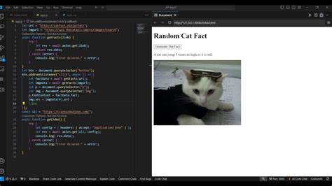 Video Abhay G On Linkedin Day11 100xcode Coding Webdevelopment Apis Postman Catapi