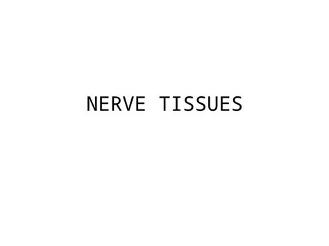 Ppt Nerve Tissues Dokumentips
