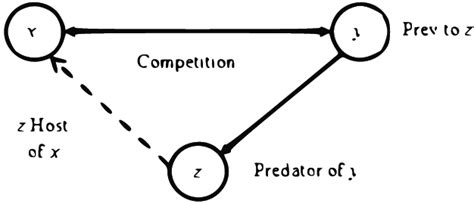 Schematic Diagram Of Three Species Food Chain System Download