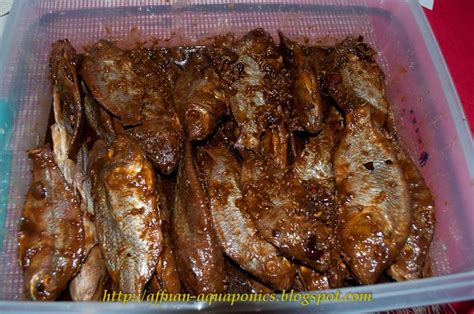 Fermented Fish Alchetron The Free Social Encyclopedia