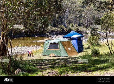 Australia Camping Beside Snowy River Model Released Woman Pegs Out
