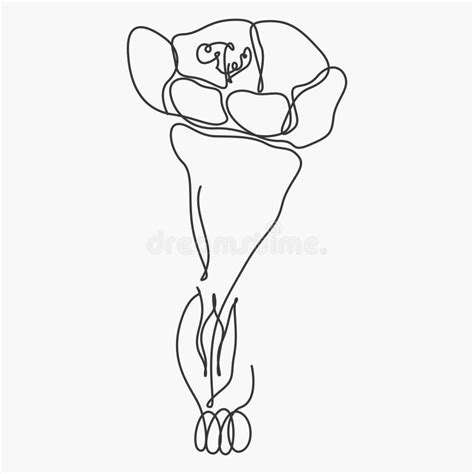 Floral Botanical Design Element Floral Line Art Design Asset Stock