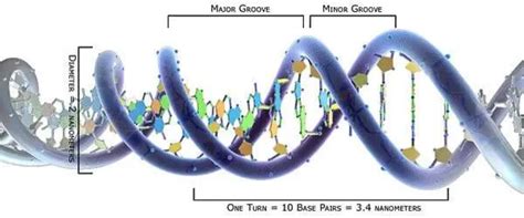 Researchers Use Dna Modified Building Blocks To Create Colloidal Quasicrystals Assignment Point