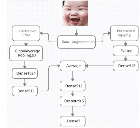 Figure 1 From Facial Emotions Recognition Using Vit And Transfer