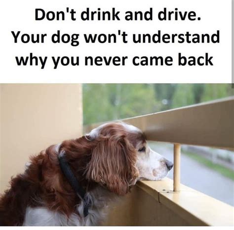 The Best Drive Memes Memedroid