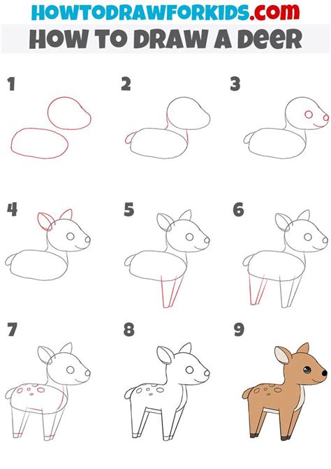 Easy To Draw Deer Step By Step