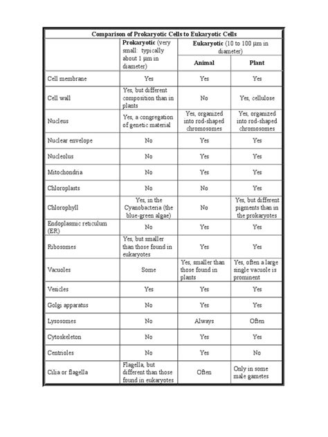 Pdf L03 1 Comparison Of Prokaryotic Cells To Eukaryotic Cells