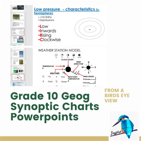Grade 10 Synoptic Charts • Teacha