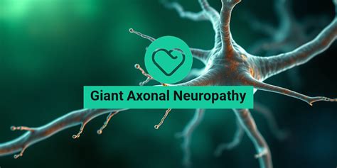 Giant Axonal Neuropathy Understanding Symptoms Causes And Treatments