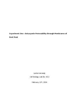 Example Lab Report By Science Biology Chemistry Physics TPT