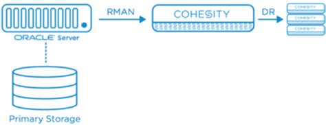 Explaining Cohesitys Space Efficient Target And Source Side Dedupe Integration For Oracle Rman