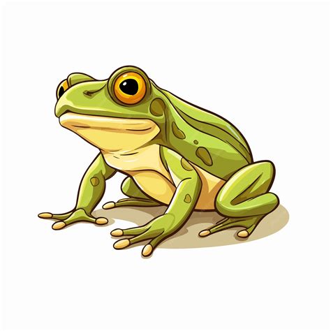 Premium Vector Frog Flat Vector Illustration Frog Cartoon Hand