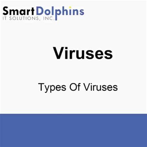 Types Of Viruses Smart Dolphins It Solutions Inc