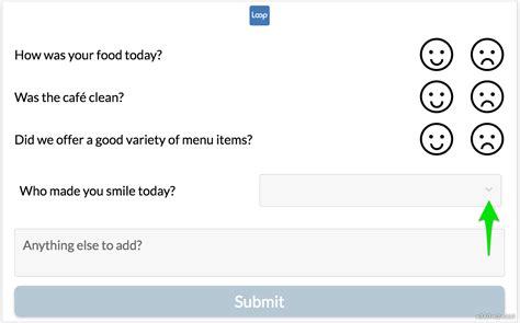 loop custom field creating a pick list benbria loop knowledge base