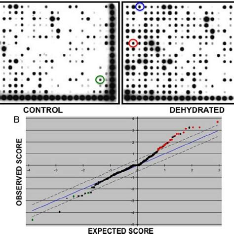 Affymetrix Combo Protein Dna Array Analysis Of Control And Dehydrated