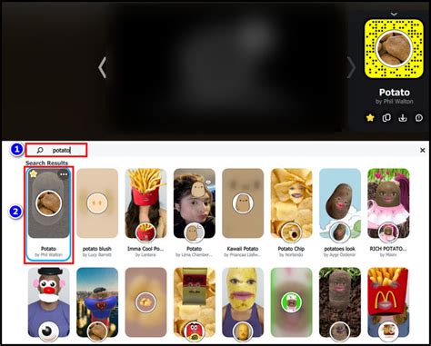 How To Get Zoom Potato Filter At Rodney Swisher Blog