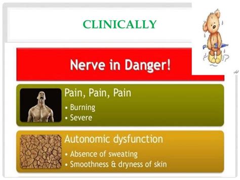 Introduction To Periphral Nervous Sys Ppt