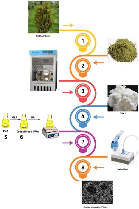 Extraction Of Cellulose Nanofibers And Preparation Of Hydrogels