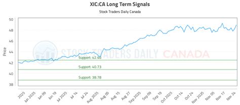 Xic Strategic Market Analysis
