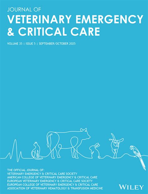 Iatrogenic Pneumothorax In A Cat Following Placement Of A Continuous