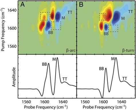 Structural Motif Of Polyglutamine Amyloid Fibrils Discerned With Mixed