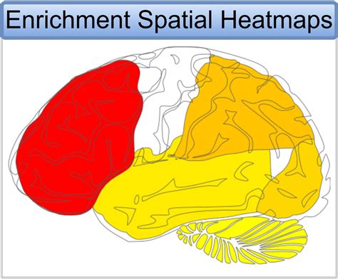 Spatial Enrichment Spatialheatmap