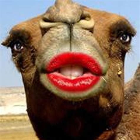 Stream Michelle Linnane Music Listen To Songs Albums Playlists For Free On Soundcloud