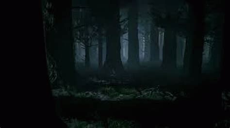 Dark Forest Meme Dark Forest Discover And Share S