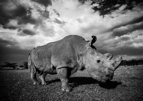 Steve Irwins 14 Year Old Son Is An Award Winning Photographer And Here