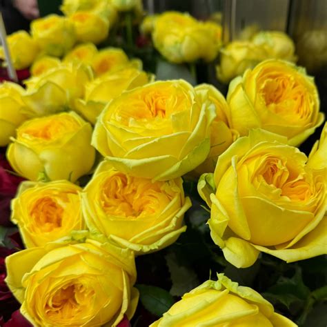 あべフローリスト Abeflo • Instagram Photos And Videos