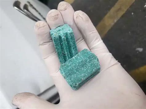 On Vous Aide à Choisir Le Raticide Efficace Pour Rats 2024