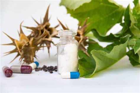 310 Drug Scopolamine Fotografías De Stock Fotos E Imágenes Libres De