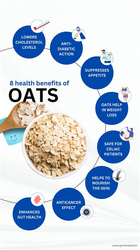 The Surprising Health Benefits Of Oats Artofit