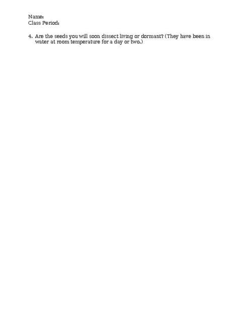 Seed Dissection Pre Lab Worksheet By Lucky Lady Schoolhouse Tpt