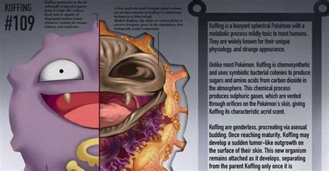 25 Pieces Of Pokemon Anatomy Fan Art